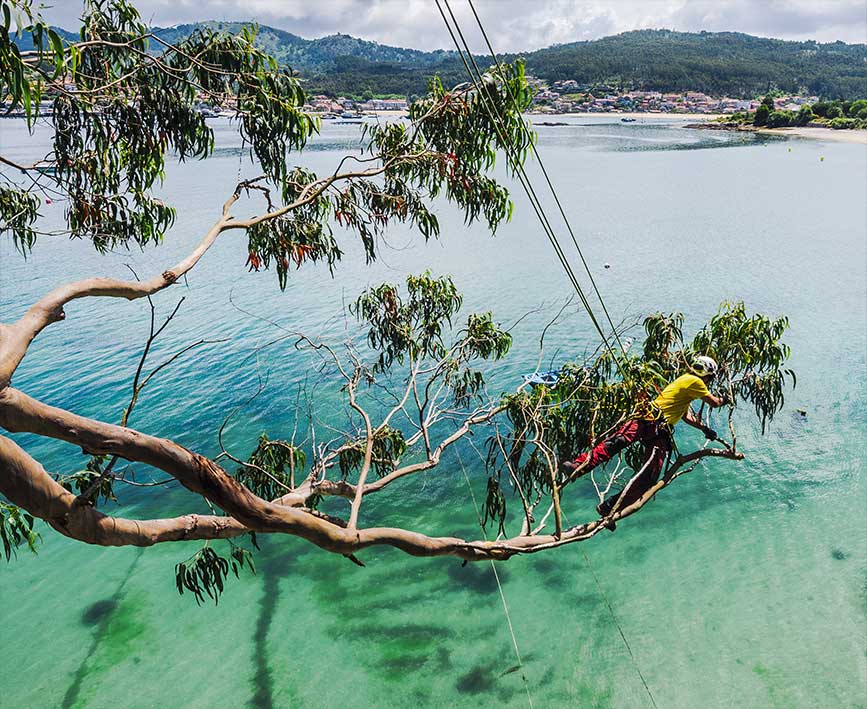 Pillars - Pioneer Spirit | Petzl