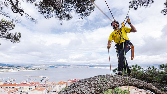 News - Petzl Tech tips for the new ZIGZAG and CHICANE - Petzl USA