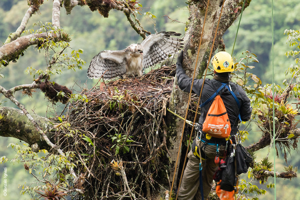Formation verticale biologistes colombie