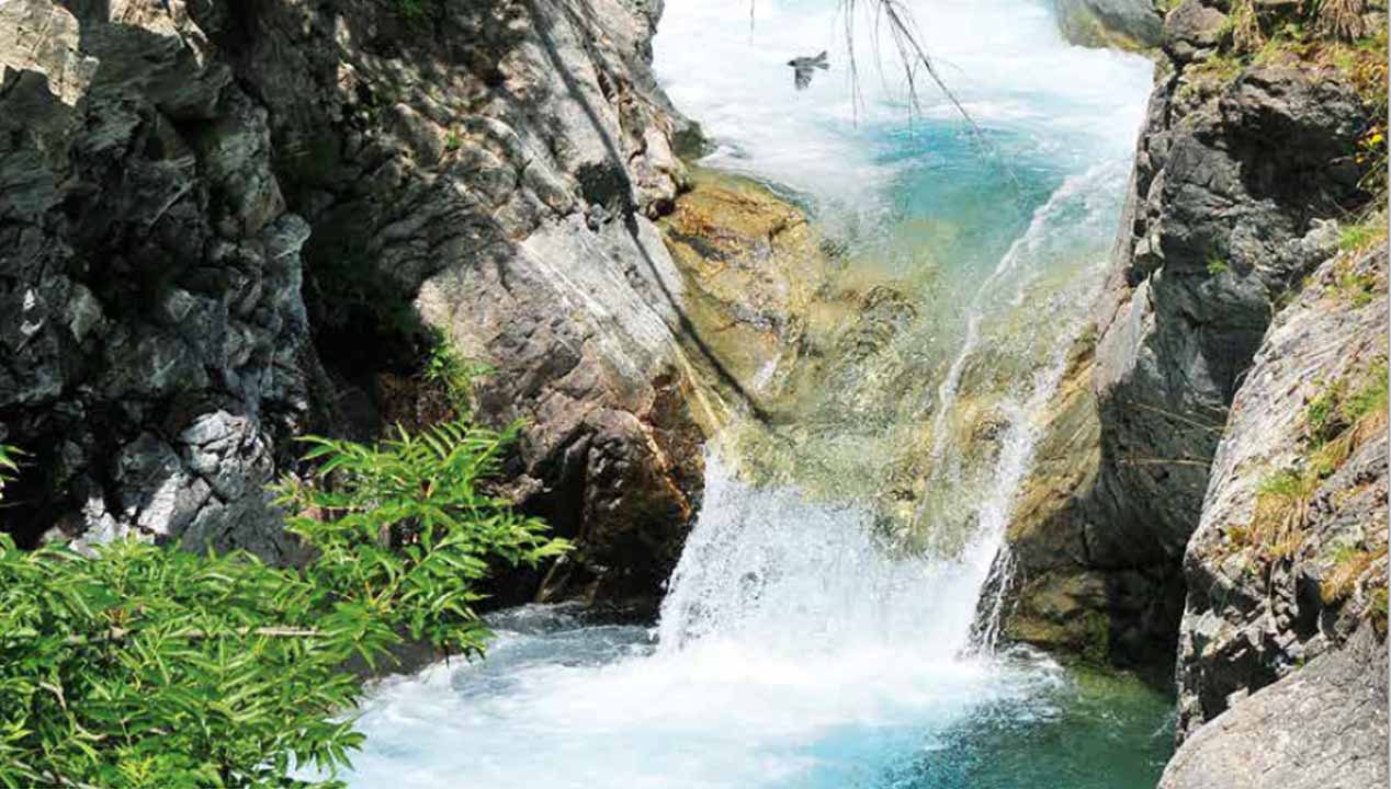 Concilier canyonisme biodiversite