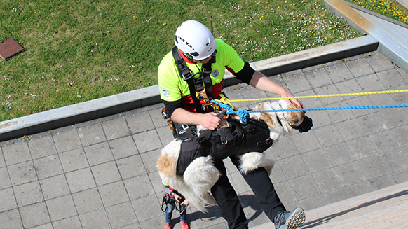 News - Petzl L'ESAM, une équipe dédiée au secours animalier en montagne ...