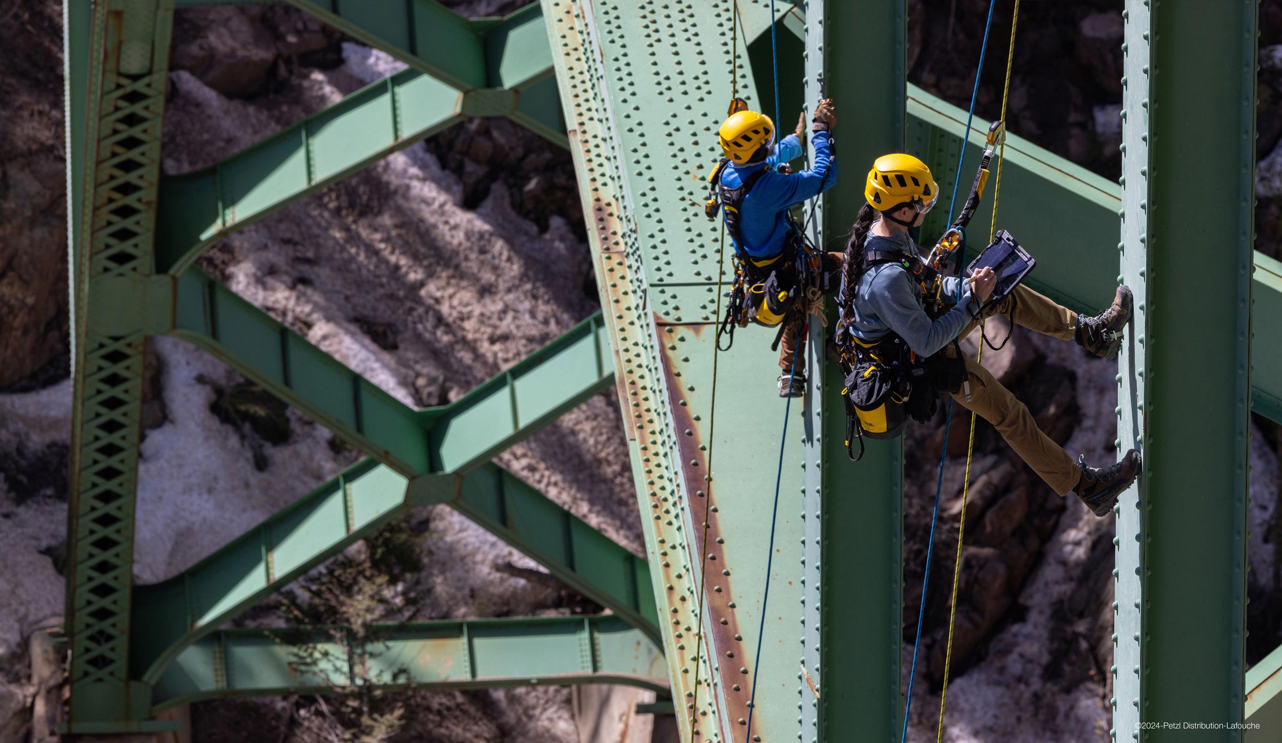 Harnesses - Petzl Other | Professional