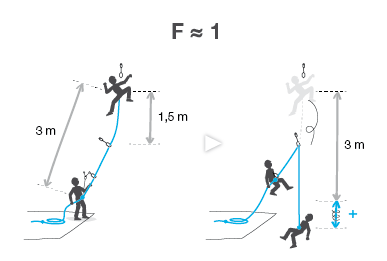 Forces at work in a real fall - Petzl
