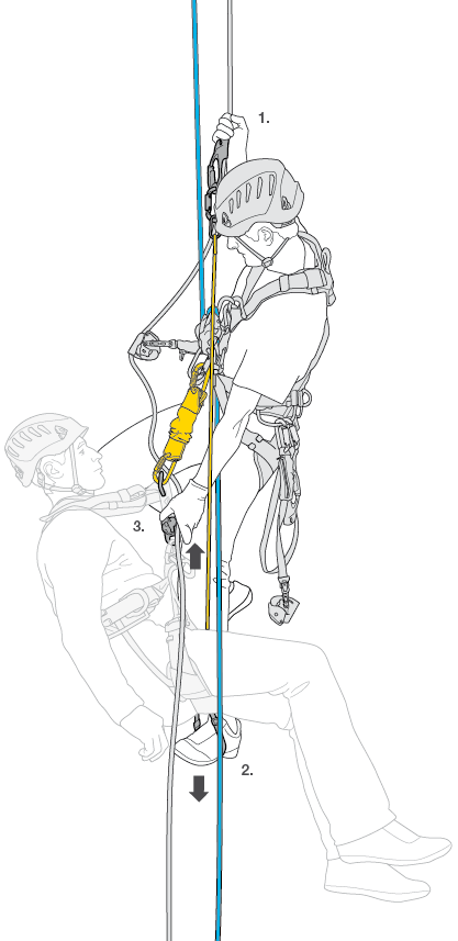 Release and rescue of a co-worker suspended on a long rope. - Petzl