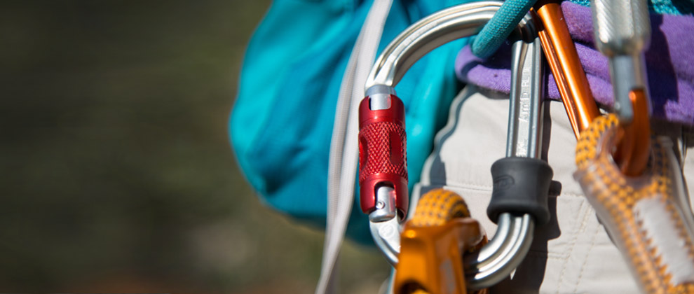 Carabiners and quickdraws - Petzl Other | Sport
